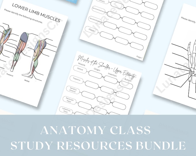 Anatomy Class Template Bundle: Anatomy PDF Templates and Worksheets ...