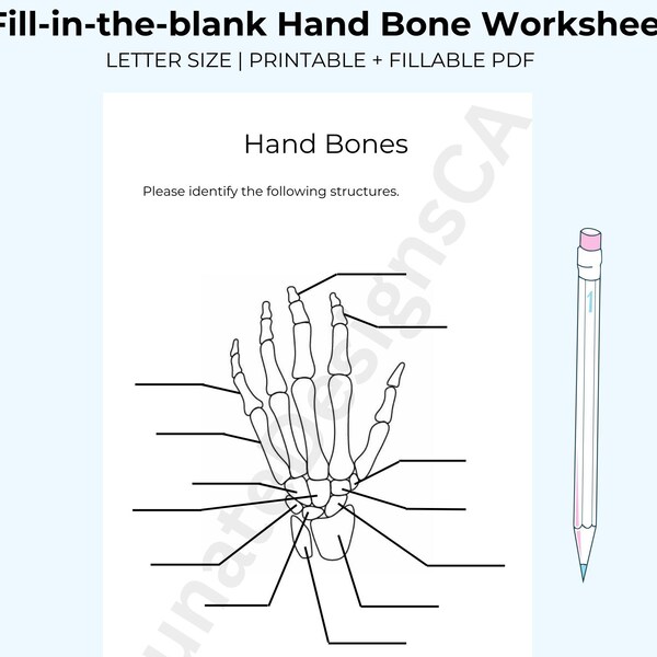 Joints of the Hand Anatomy Worksheet Single FILLABLE Digital Download ...