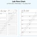 Science Lab Flow Chart, School Flow Chart, Biology/nursing/kinesiology ...