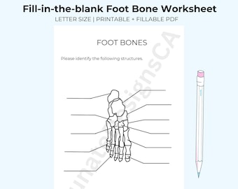 Fill-in-the-blank Anatomy Bones Worksheet-pelvic Girdle-answer Key ...