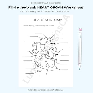 Fill-in-the-blank Anatomy Organ Worksheet -HEART- Answer Key Provided ...