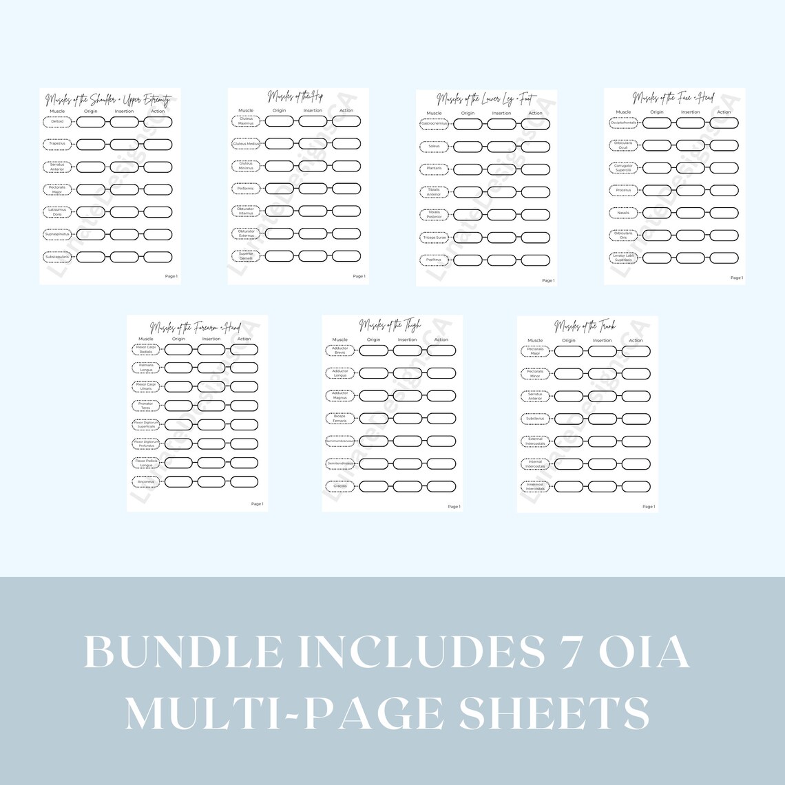 Anatomy Muscles Origin Insertion Action Worksheets Template - Etsy