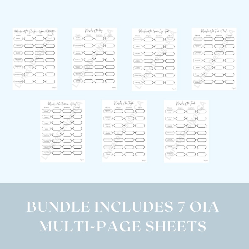 Anatomy Muscles Origin, Insertion, Action Worksheets Template, PDF ...