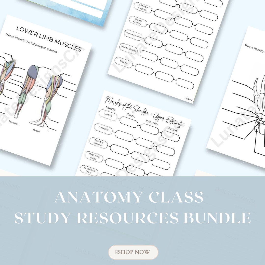 Anatomy Class Template Bundle: Anatomy PDF Templates and Worksheets ...