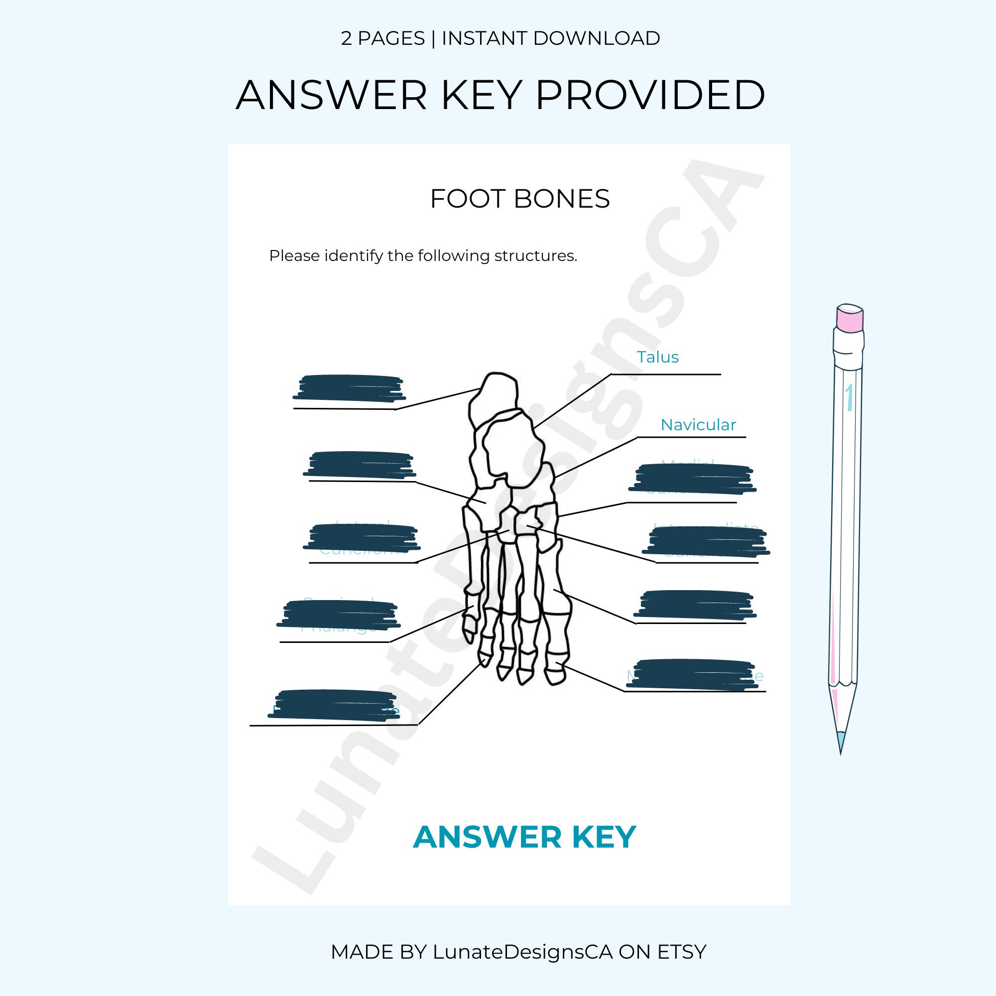 Fill-in-the-blank Anatomy Bones Worksheet- FOOT - Answer Key Provided ...
