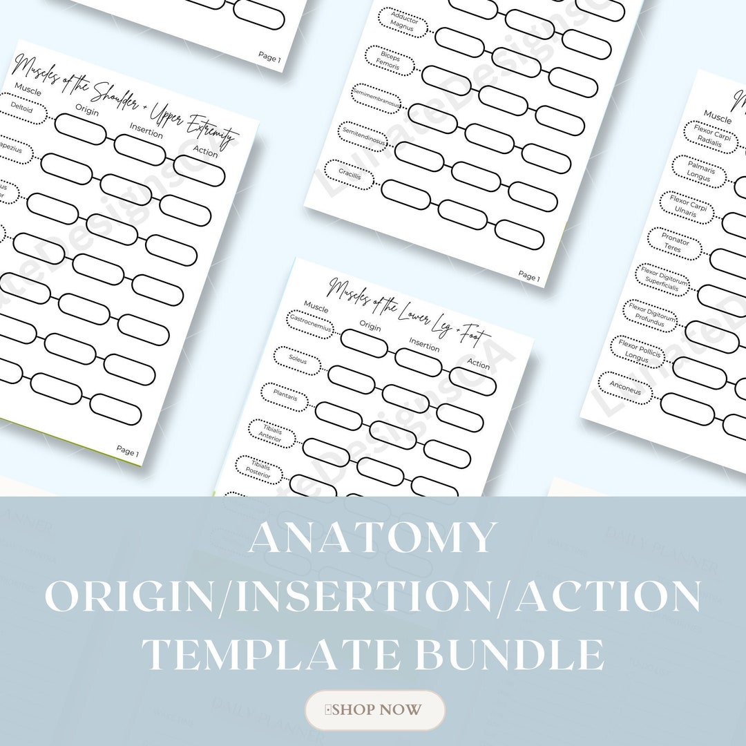 Anatomy Muscles Origin, Insertion, Action Worksheets Template, PDF ...