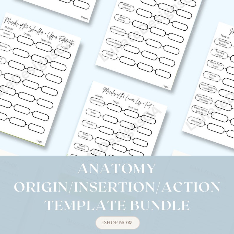 Anatomy Muscles Origin, Insertion, Action Worksheets Template, PDF ...
