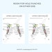 Upper Limb Anatomy Worksheet – Fill-in-the-blank Muscle Study (PDF) - Etsy