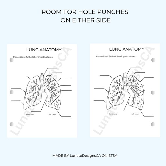 Lungs Diagram Blank