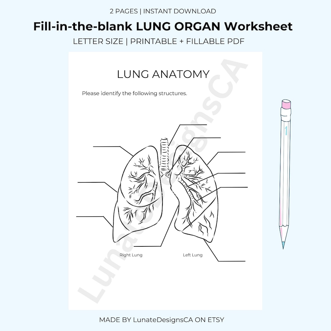 Fill-in-the-blank Anatomy Organ Worksheet -LUNGS- Answer Key Provided ...