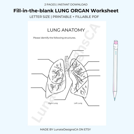 Lungs Diagram Blank
