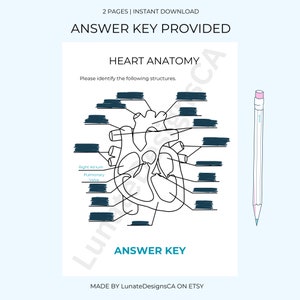 Fill-in-the-blank Anatomy Organ Worksheet -HEART- Answer Key Provided ...