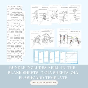 Anatomy Class Template Bundle: Anatomy PDF Templates and Worksheets ...