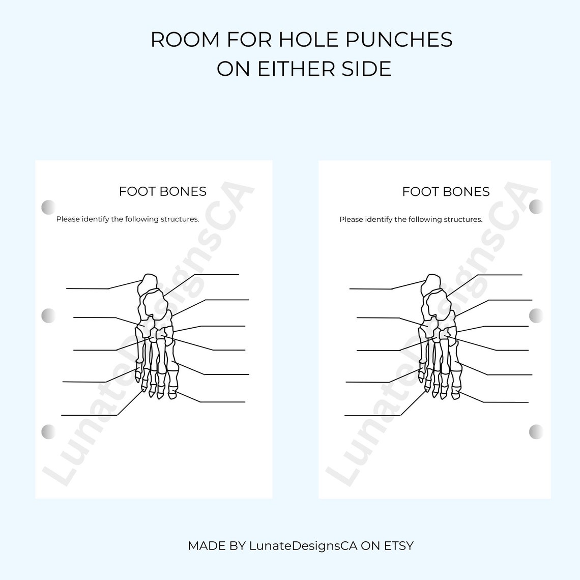 Fill-in-the-blank Anatomy Bones Worksheet- FOOT - Answer Key Provided ...
