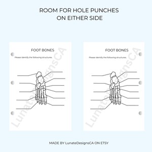 Fill-in-the-blank Anatomy Bones Worksheet- FOOT - Answer Key Provided ...