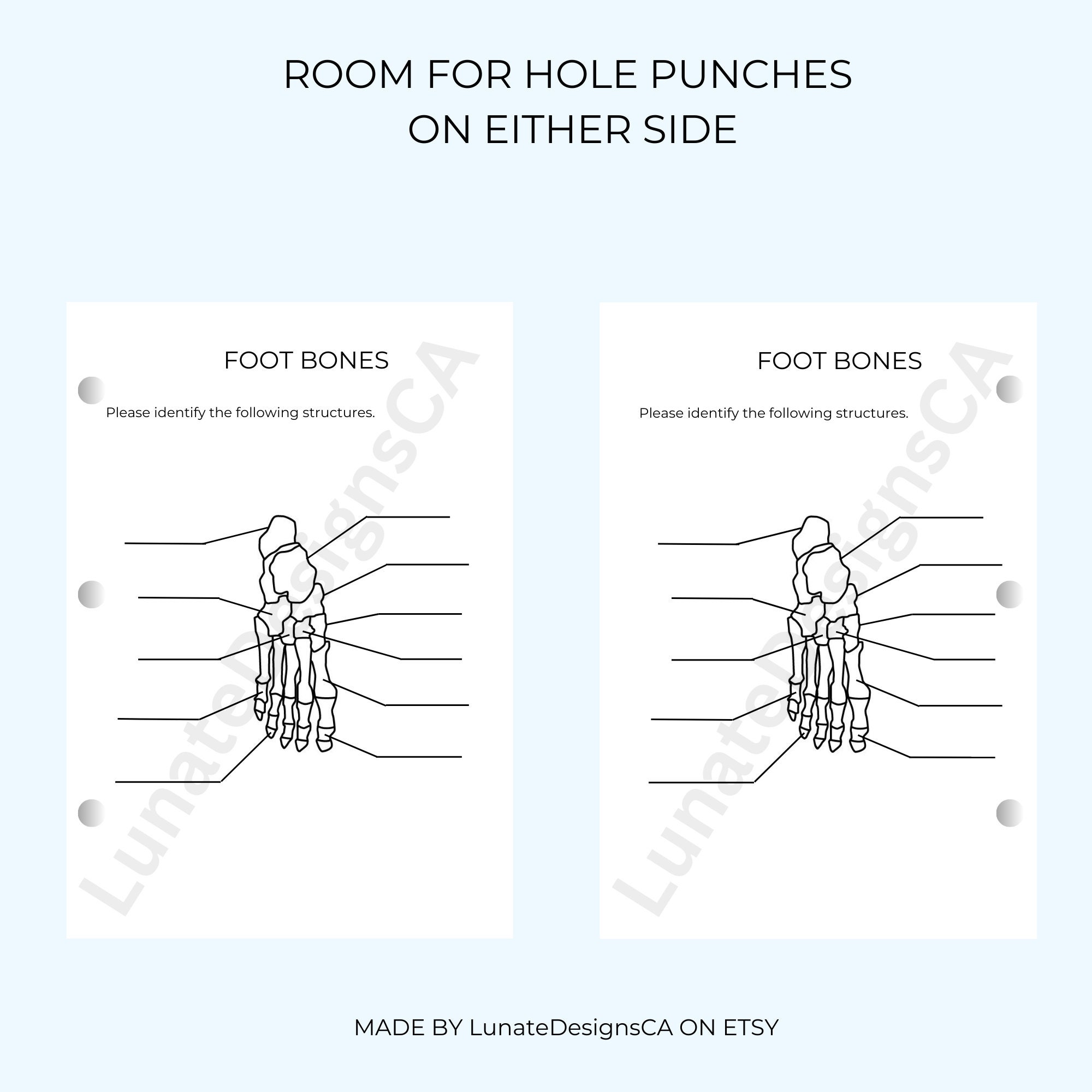 Fill-in-the-blank Anatomy Bones Worksheet- FOOT - Answer Key Provided ...