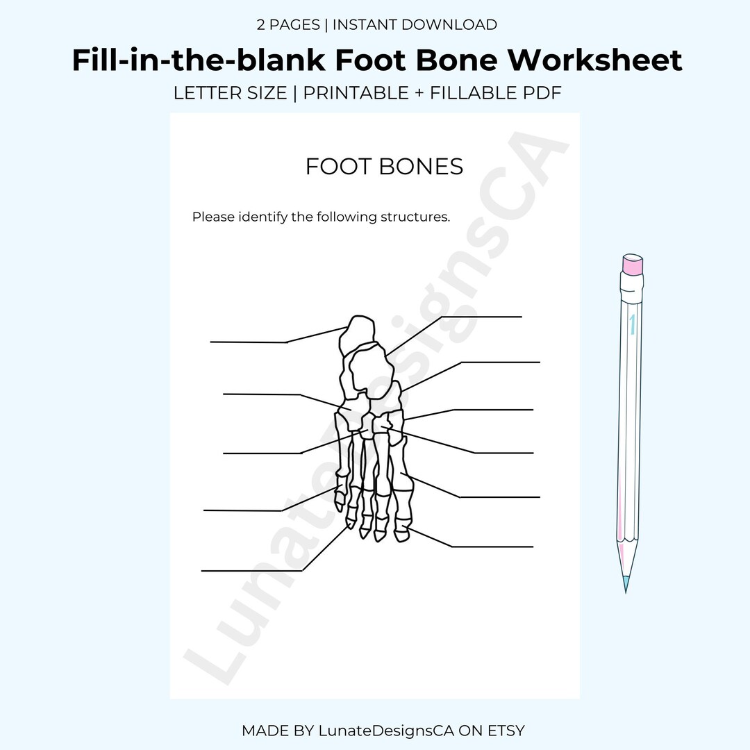 Fill-in-the-blank Anatomy Bones Worksheet- FOOT - Answer Key Provided ...