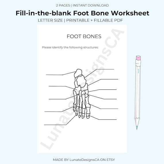 Foot Bones Blank Diagram