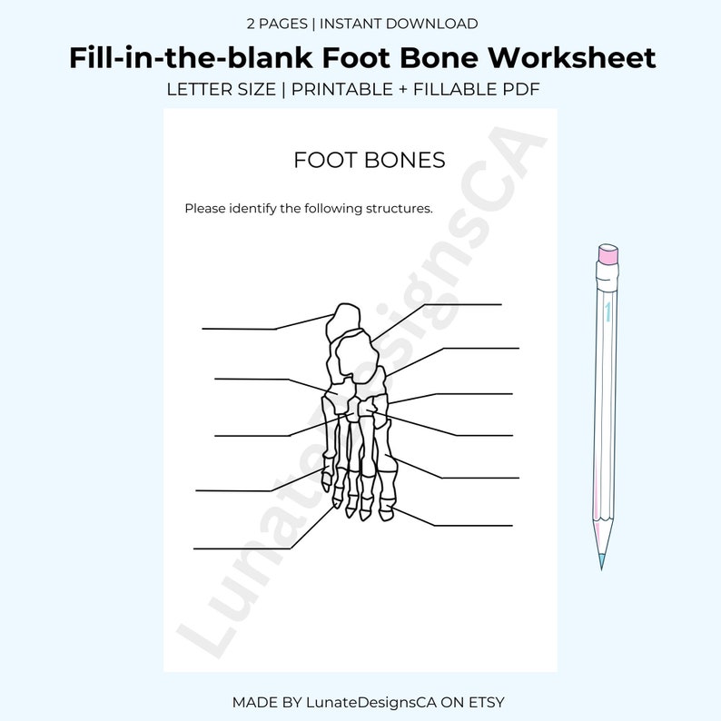 Fill-in-the-blank Anatomy Bones Worksheet- FOOT - Answer Key Provided ...