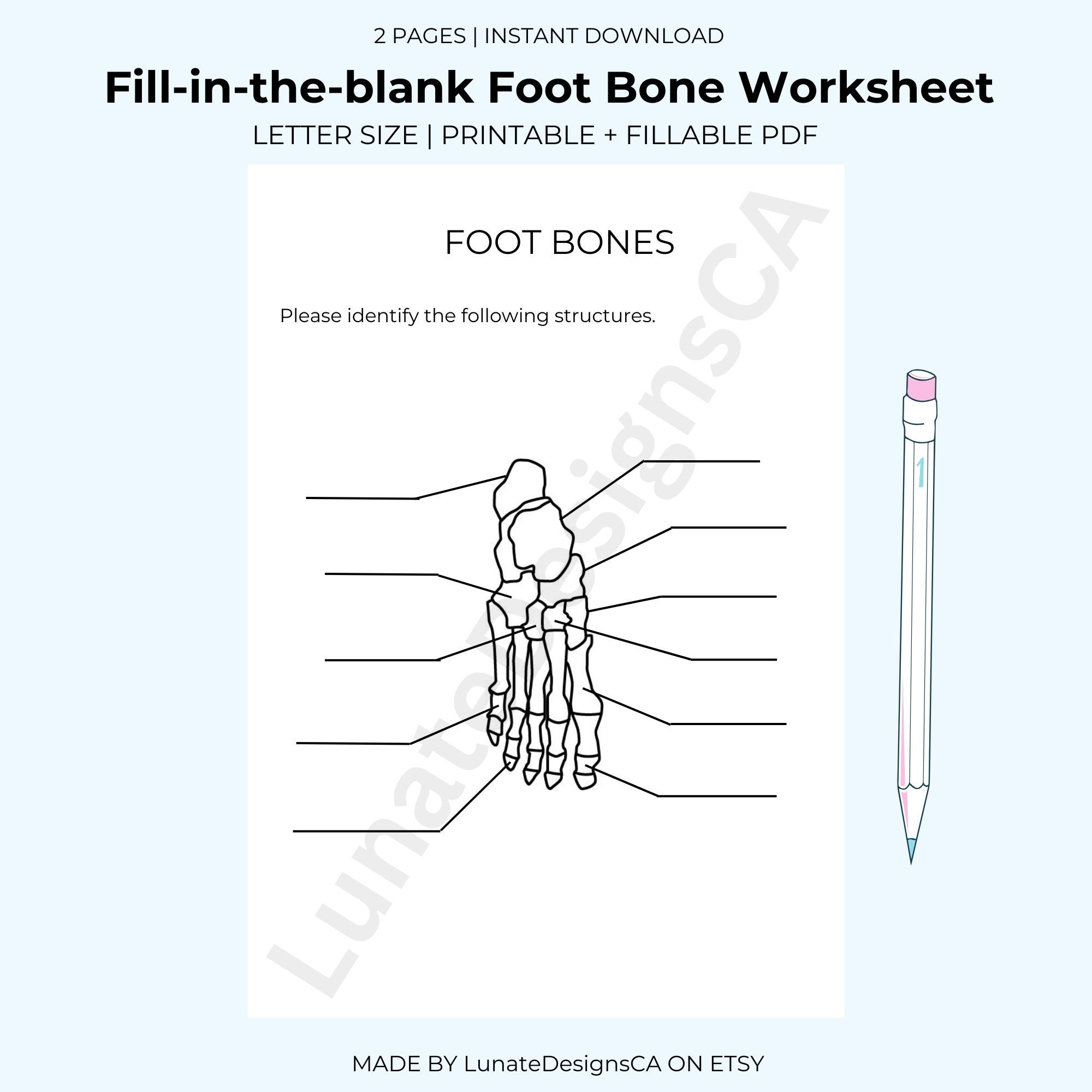 Fill-in-the-blank Anatomy Bones Worksheet- FOOT - Answer Key Provided ...