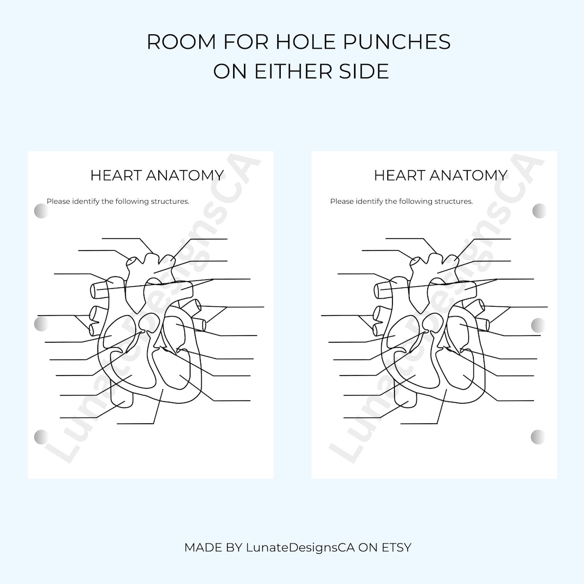 Fill-in-the-blank Anatomy Organ Worksheet -HEART- Answer Key Provided ...