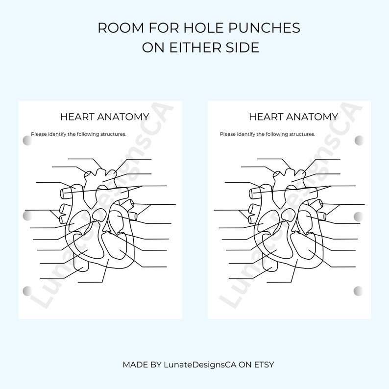 Fill-in-the-blank Anatomy Organ Worksheet -HEART- Answer Key Provided ...