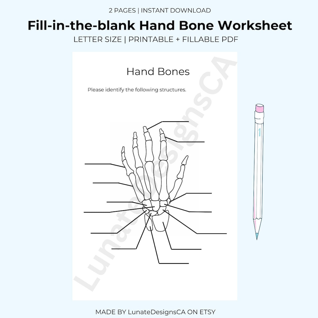 Fill-in-the-blank Anatomy Bones Worksheet- HAND- Answer Key Provided ...