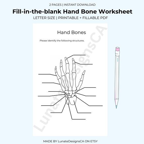 Blank Hand Bone Diagram