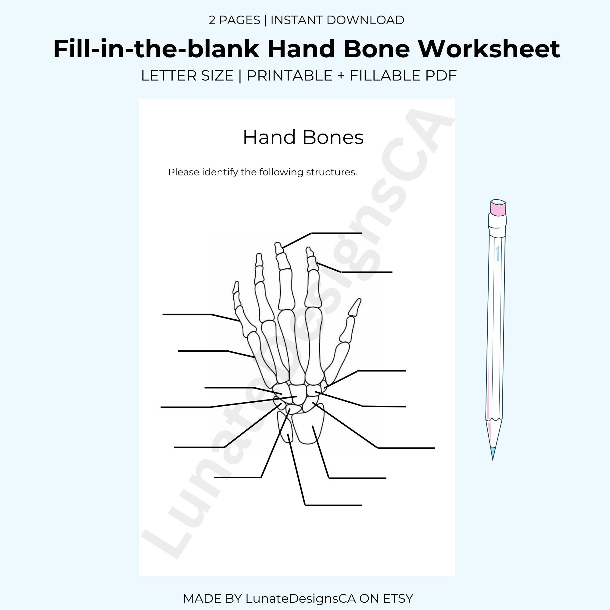 Blank Skeleton Worksheet