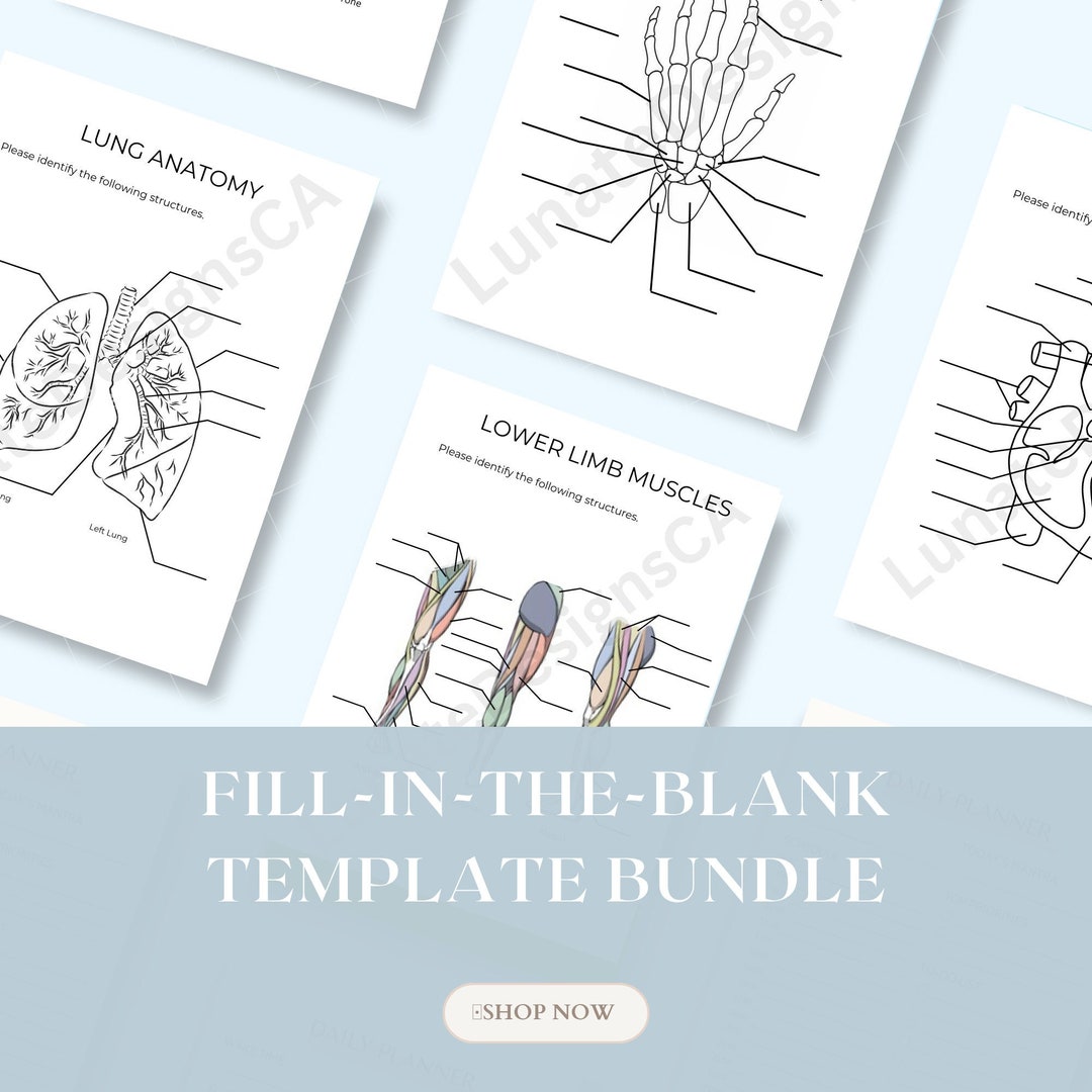 Fill-in-the-blank Worksheet Bundle: BONES Hand, Foot, Pelvic Girdle ...
