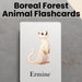 Boreal Forest Animal Printable Flash Cards Learning Tool for Education ...
