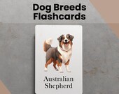 Dog Breeds Printable Flash Cards Learning Tool for Education - Etsy