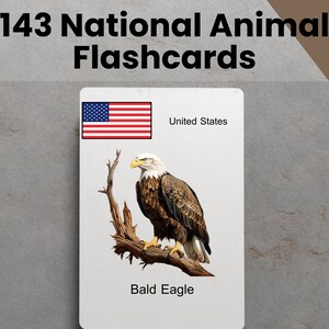 Flashcards Printable Learning Tool for Wildlife Animal Alphabet ...