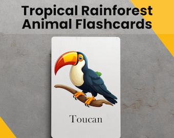 Desert Animal Printable Flash Cards Learning Tool for Education About ...