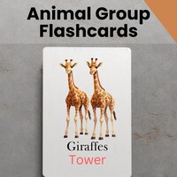 Animal Sound Flashcards Educational Printable Flashcards for Kids ...