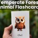 Temperate Forest Animal Printable Flash Cards Learning Tool for ...