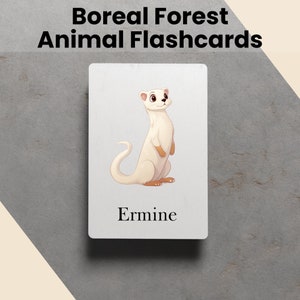 Boreal Forest Animal Printable Flash Cards Learning Tool for Education ...