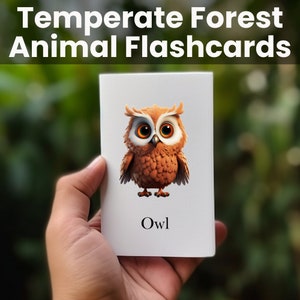 Temperate Forest Animal Printable Flash Cards Learning Tool for ...