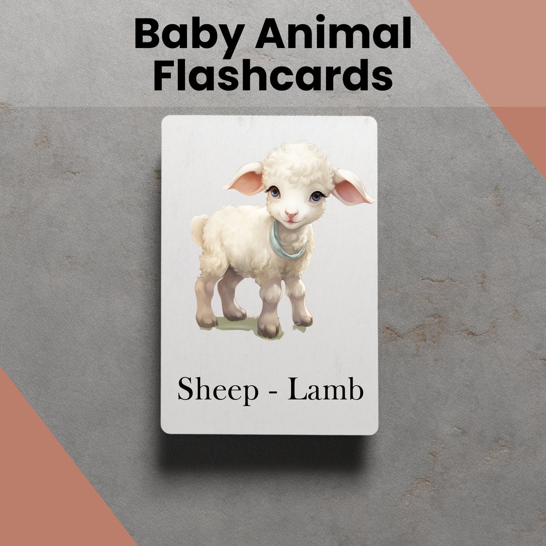 Animal Baby Digital Printable Flash Cards Learning Tool for Education ...