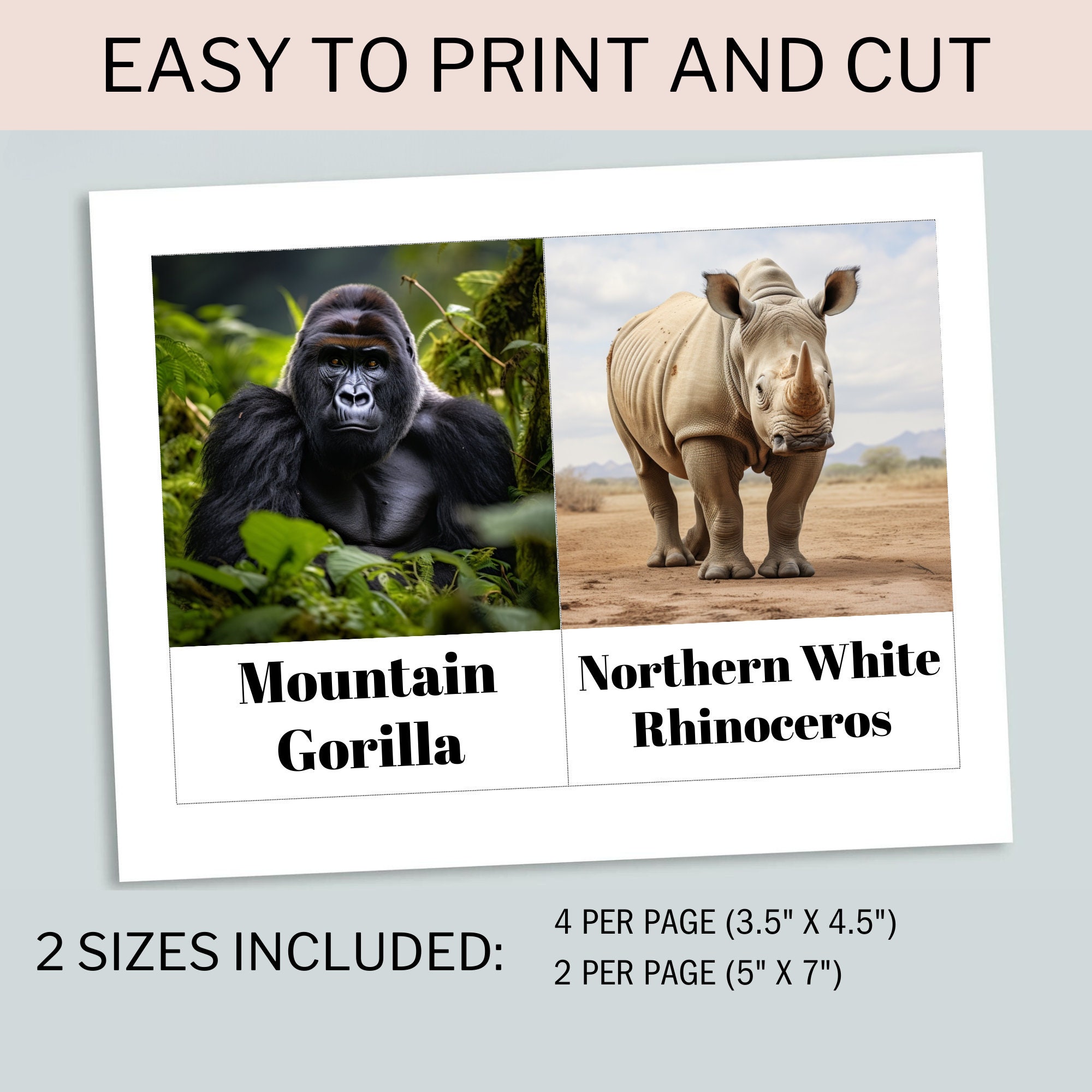 Endangered Animal Flashcardseducational Printable Flashcards for Kids ...