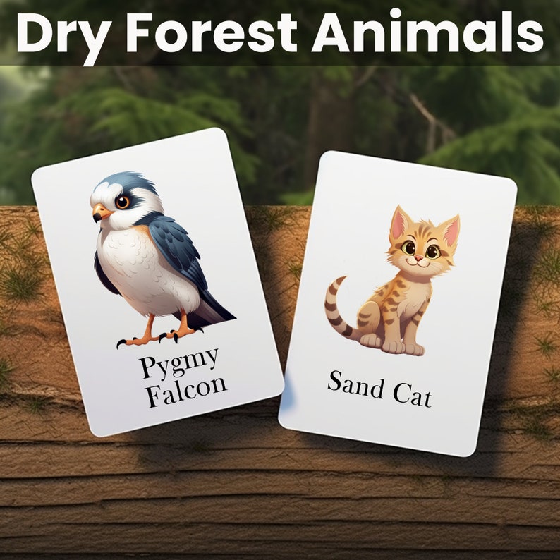 Dry Forest Animal Printable Flash Cards Learning Tool for - Etsy