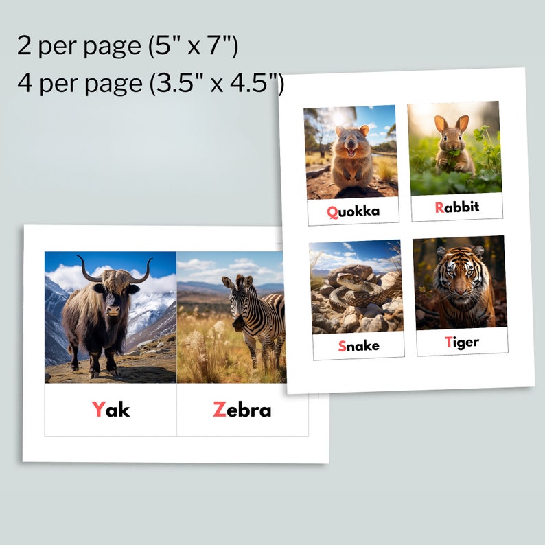 Animal Alphabet Flashcards Educational Printable Flashcards for Kids ...