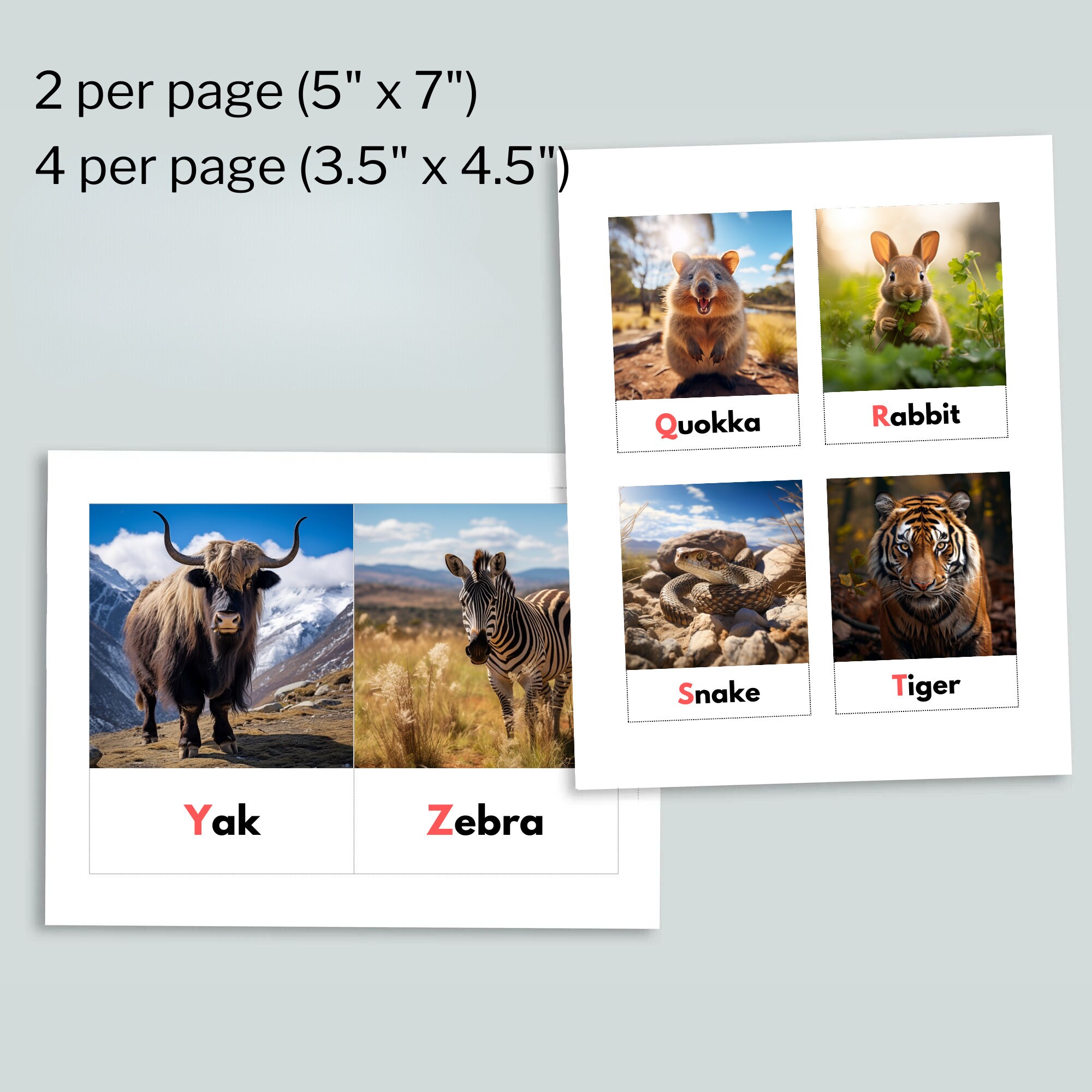 Animal Alphabet Flashcards Educational Printable Flashcards for Kids ...