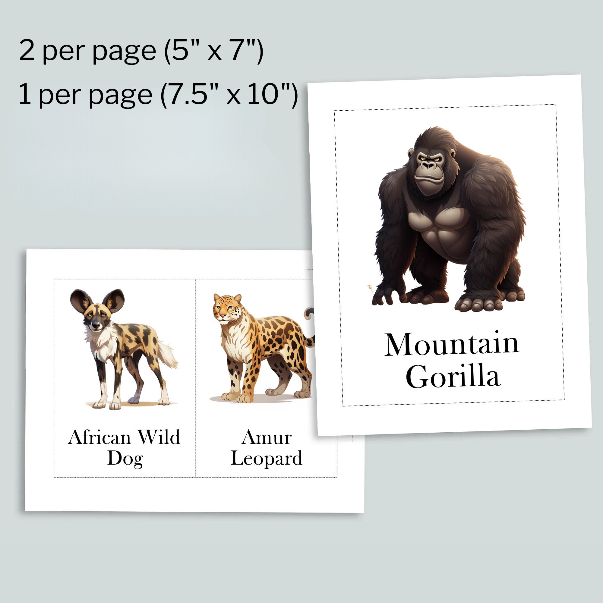 Endangered Printable Flash Cards Learning Tool for Education About Fun ...