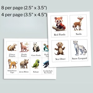 Endangered Printable Flash Cards Learning Tool for Education About Fun ...