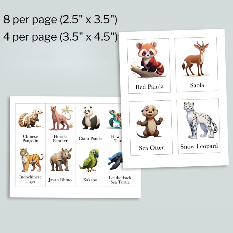 Endangered Printable Flash Cards Learning Tool for Education About Fun ...
