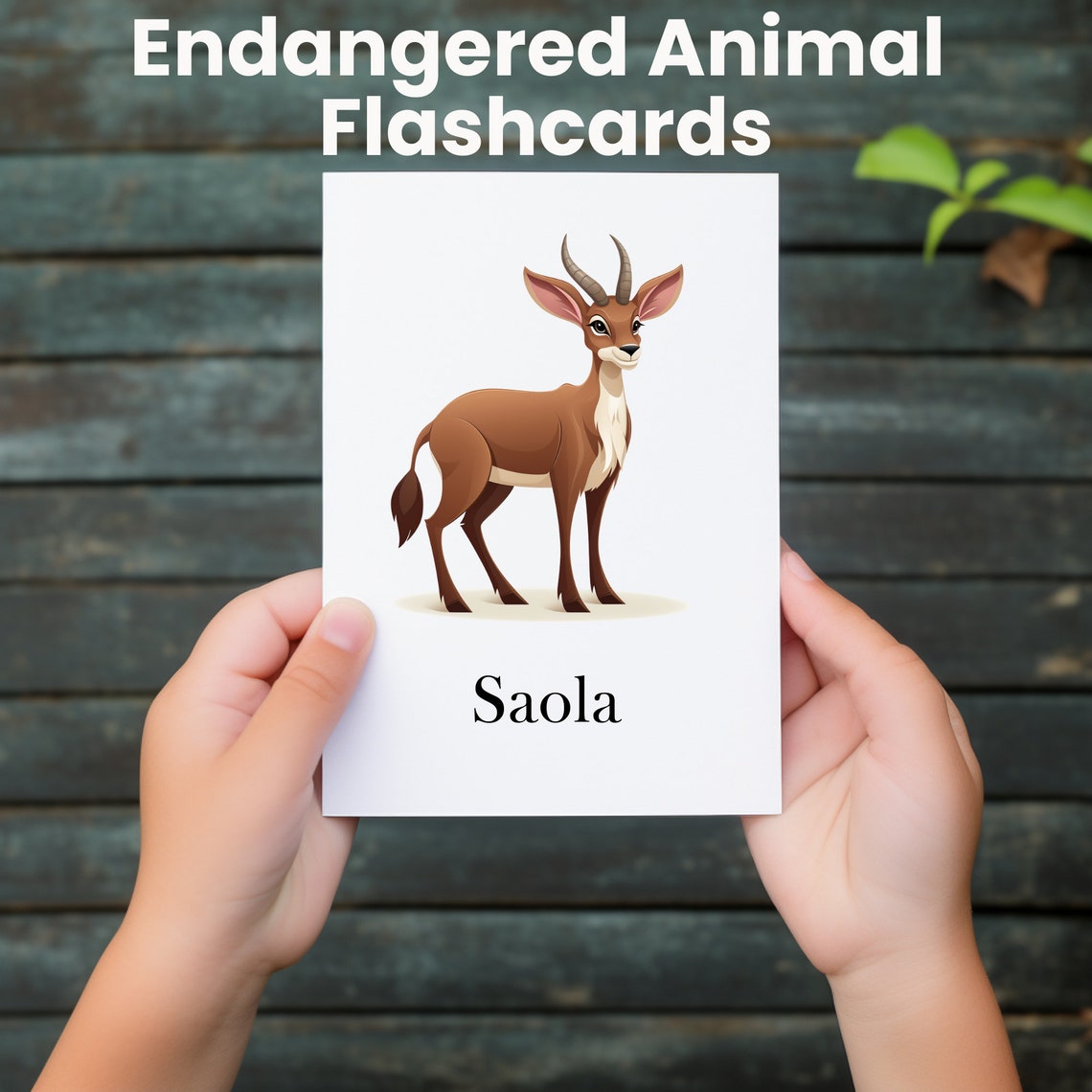 Endangered Printable Flash Cards Learning Tool for Education About Fun ...