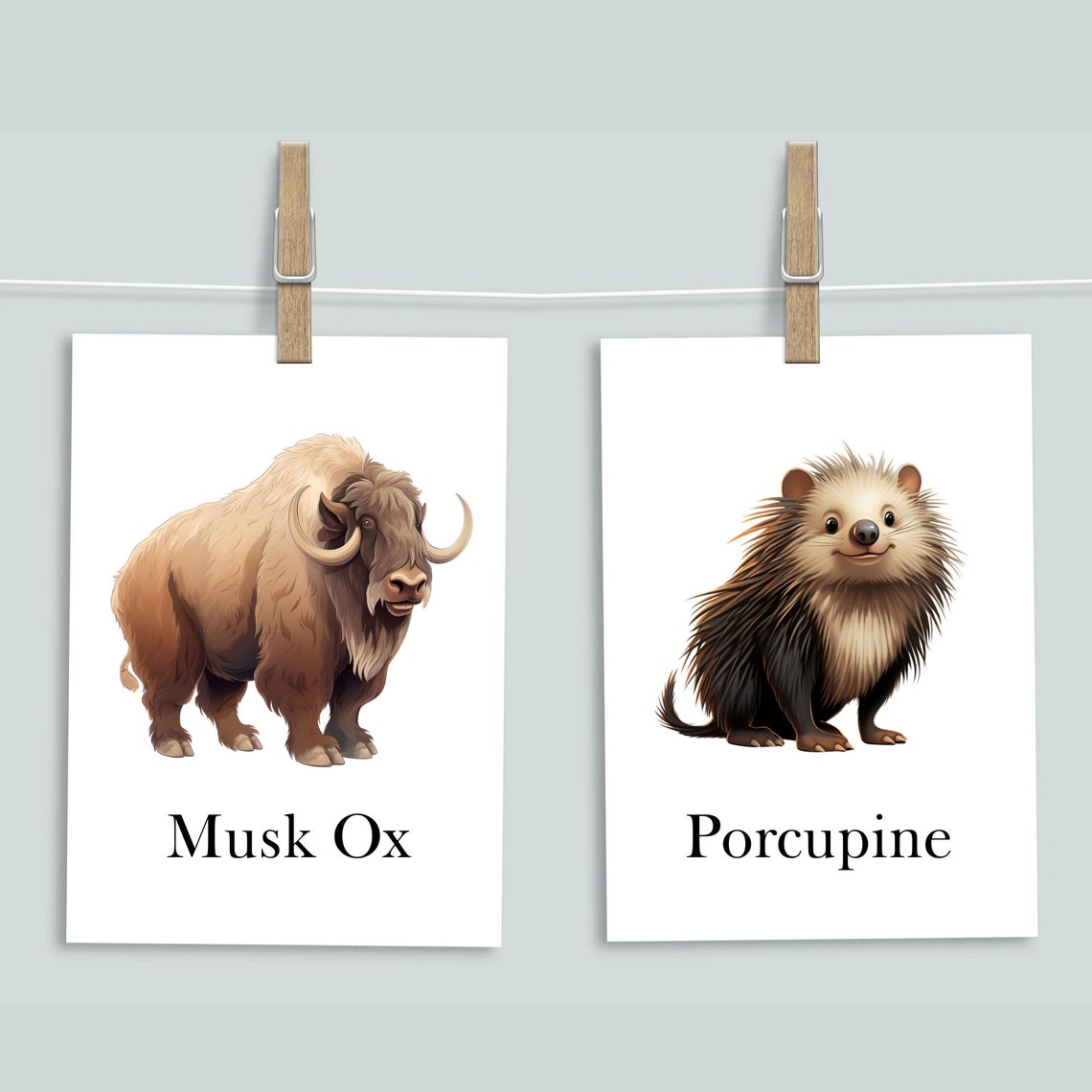 Boreal Forest Animal Printable Flash Cards Learning Tool for Education ...