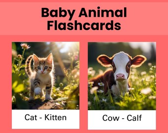 Printable Baby Animal Flashcards for Kids - Etsy