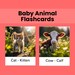 Baby Animal Flashcards Educational Printable Flashcards for Kids ...